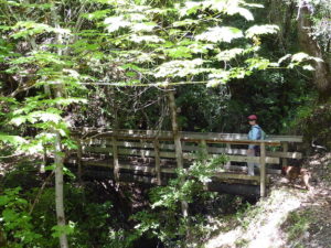 Rogue River Trail with Lower Rogue Maps and Hiking Information